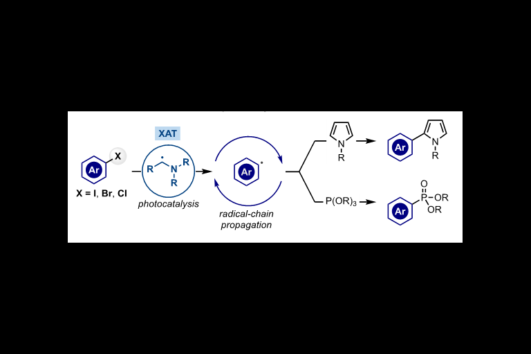 Nitrogen radical chemistry sees the light | Research | Chemistry World